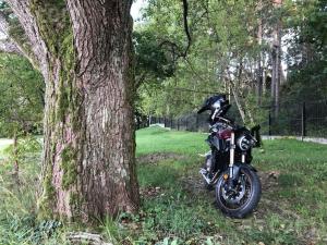 Honda CB 650RA 2023 in Riga, with an engine capacity of 0.65 L and mileage of 0 thousand km for 6150 €, photo 10 on AUTOMOTO.COM.LV