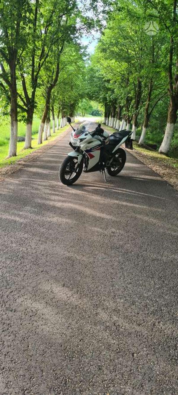 White Honda Cbr 2014 in Panevezys, with an engine capacity of 0.13 L and mileage of 35 thousand km for 1600 €, photo 5 on AUTOMOTO.COM.LV