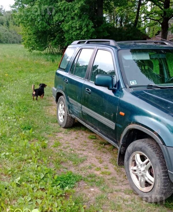 Zaļš Honda CR-V 1998 Preiļi, ar dzinēja tilpumu 2.00 L un nobraukumu 0 tūkst. km par 500 €, foto 4 vietnē AUTOMOTO.COM.LV