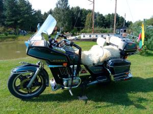 Синий Хонда Goldwing 1983 в Клайпеда, объемом двигателя 1.10 л и пробегом 90 тыс. км за 4500 €, фото 3 на AUTOMOTO.COM.LV