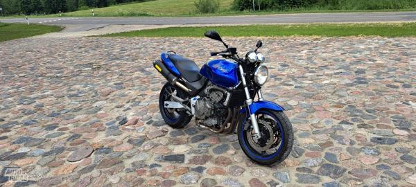 Zils Honda Hornet 2001 Druskininkai, ar dzinēja tilpumu 0.60 L un nobraukumu 33 tūkst. km par 1300 €, foto 1 vietnē AUTOMOTO.COM.LV
