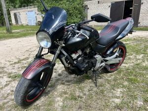 Honda Hornet 1999 in Jekabpils, with an engine capacity of 0.25 L and mileage of 0 thousand km for 1950 €, photo  on AUTOMOTO.COM.LV