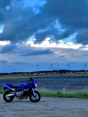Honda Hornet 2001 in Klaipeda, with an engine capacity of 0.60 L and mileage of 45 thousand km for 1700 €, photo 5 on AUTOMOTO.COM.LV
