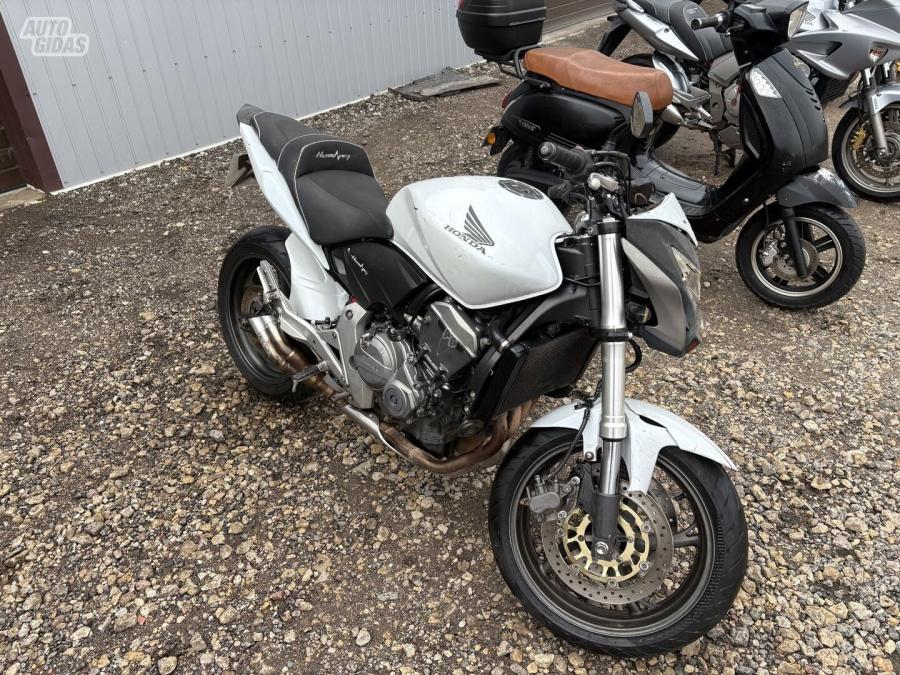 Honda Hornet 2011 Kelmė, ar dzinēja tilpumu 0.60 L un nobraukumu 61 tūkst. km par 1330 €, foto 1 vietnē AUTOMOTO.COM.LV