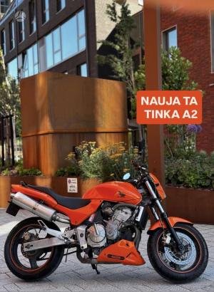 Orange Honda Hornet 2000 in Klaipeda, with an engine capacity of 0.60 L and mileage of 29 thousand km for 1850 €, photo  on AUTOMOTO.COM.LV
