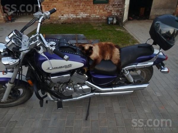 Хонда Magna 1995 в Елгава на AUTOMOTO.COM.LV Хонда Magna 1995 в Елгава, объемом двигателя 0.75 л и пробегом 0 тыс. км за 3500 €, фото 3 на AUTOMOTO.COM.LV