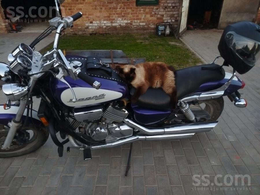 Honda Magna 1995 Jelgava, ar dzinēja tilpumu 0.75 L un nobraukumu 0 tūkst. km par 3500 €, foto 3 vietnē AUTOMOTO.COM.LV
