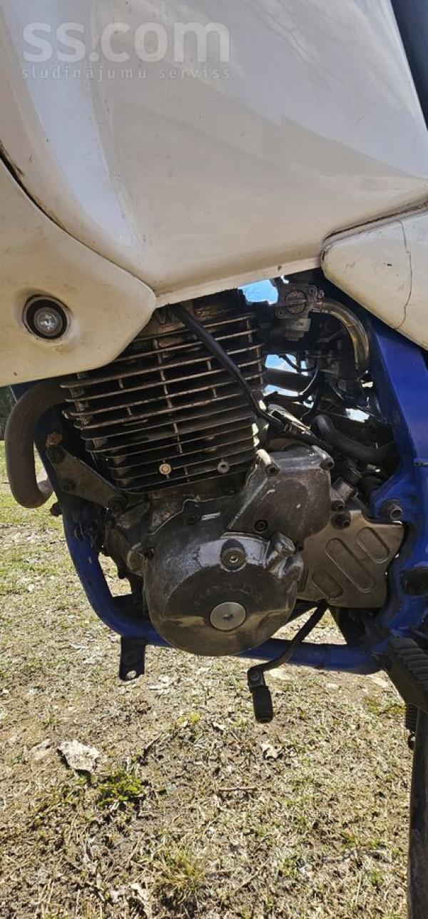 Honda NX 650 1992 Rīga, ar dzinēja tilpumu 0.65 L un nobraukumu 0 tūkst. km par 1600 €, foto 2 vietnē AUTOMOTO.COM.LV