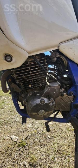 Honda NX 650 1992 Rīga, ar dzinēja tilpumu 0.65 L un nobraukumu 0 tūkst. km par 1600 €, foto 3 vietnē AUTOMOTO.COM.LV