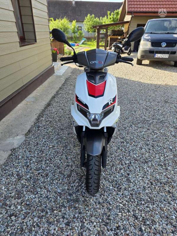 Balts Honda SH 2021 Pasvalys, ar dzinēja tilpumu 50.00 L un nobraukumu 12 tūkst. km par 799 €, foto 4 vietnē AUTOMOTO.COM.LV