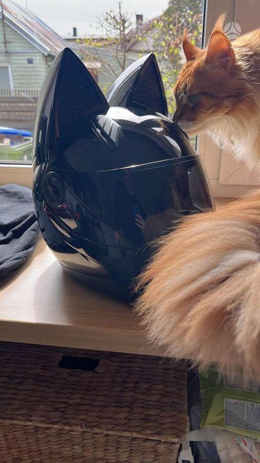 Honda VFR 2018 in Kaunas, with an engine capacity of 0.80 L and mileage of 40 thousand km for 4832 €, photo 17 on AUTOMOTO.COM.LV