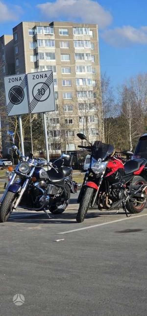 Blue Honda VT Shadow 2001 in Vilnius, with an engine capacity of 0.75 L and mileage of 47 thousand km for 3600 €, photo 13 on AUTOMOTO.COM.LV