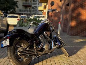 Violet Honda VT Shadow 1994 in Vilnius, with an engine capacity of 0.60 L and mileage of 6 thousand km for 2250 €, photo 17 on AUTOMOTO.COM.LV