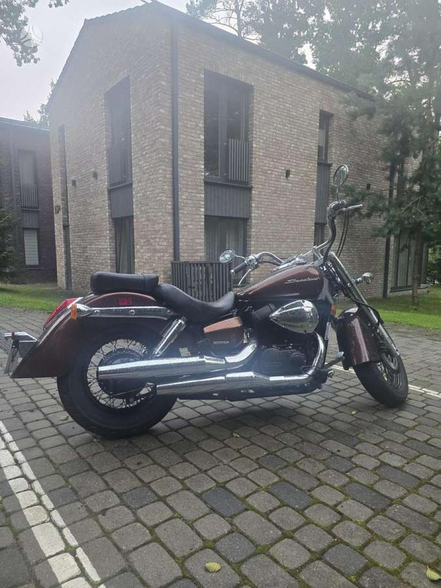 Yellow Honda VT Shadow 2018 in Klaipeda, with an engine capacity of 0.75 L and mileage of 16 thousand km for 6800 €, photo 3 on AUTOMOTO.COM.LV