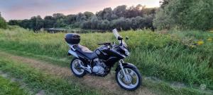 Black Honda XL 2009 in Kaunas, with an engine capacity of 0.13 L and mileage of 24 thousand km for 3350 €, photo 3 on AUTOMOTO.COM.LV