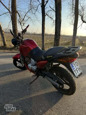 Honda XL 2002 Kaišiadorys, ar dzinēja tilpumu 0.13 L un nobraukumu 0 tūkst. km par 1600 €, foto 4 vietnē AUTOMOTO.COM.LV