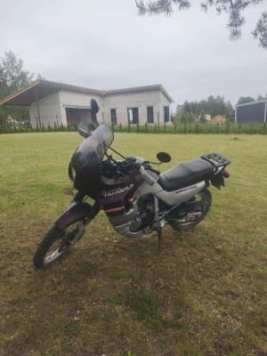 Violet Honda XL 1993 in Siauliai, with an engine capacity of 0.60 L and mileage of 50 thousand km for 1650 €, photo 4 on AUTOMOTO.COM.LV