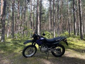 Хонда XR 2004 в Вильнюс, объемом двигателя 0.12 л и пробегом 8 тыс. км за 2000 €, фото 1 на AUTOMOTO.COM.LV