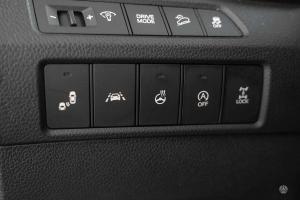 Zils Hyundai Santa Fe 2016 Viļņa, ar dzinēja tilpumu 2.20 L un nobraukumu 243 tūkst. km par 12000 €, foto 29 vietnē AUTOMOTO.COM.LV