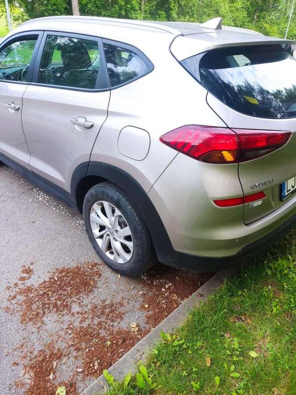 Balts Hyundai Tucson 2020 Viļņa, ar dzinēja tilpumu 1.59 L un nobraukumu 71 tūkst. km par 17900 €, foto 7 vietnē AUTOMOTO.COM.LV
