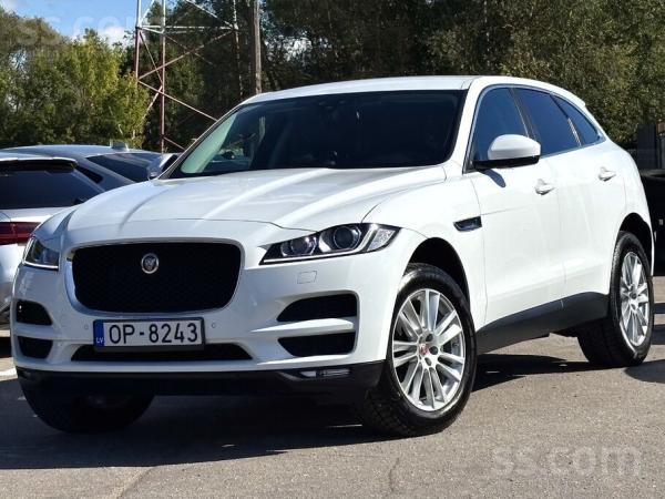 Ягуар Ф-Пейс 2017 в Рига на AUTOMOTO.COM.LV Белый Ягуар Ф-Пейс 2017 в Рига, объемом двигателя 2.00 л и пробегом 227 тыс. км за 12800 €, фото 4 на AUTOMOTO.COM.LV