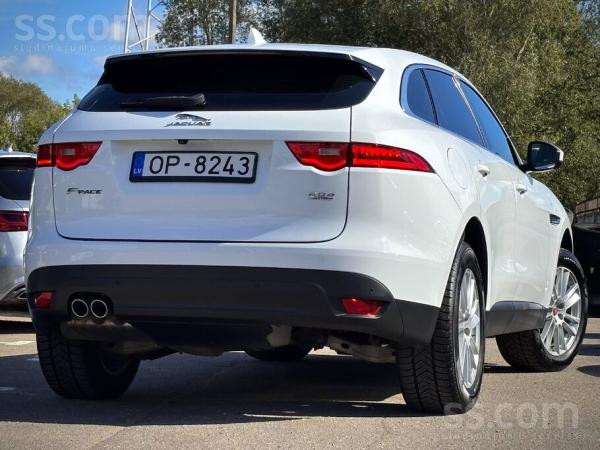 Ягуар Ф-Пейс 2017 в Рига на AUTOMOTO.COM.LV Белый Ягуар Ф-Пейс 2017 в Рига, объемом двигателя 2.00 л и пробегом 227 тыс. км за 12800 €, фото 5 на AUTOMOTO.COM.LV