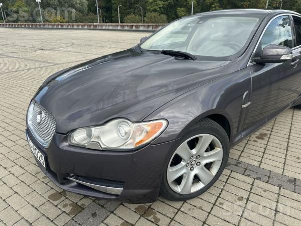 Pelēks Jaguar XF 2008 Rīga, ar dzinēja tilpumu 2.70 L un nobraukumu 270 tūkst. km par 4510 €, foto 5 vietnē AUTOMOTO.COM.LV