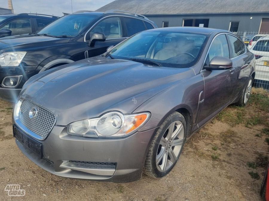 Jaguar XF 2010 Tauragė, ar dzinēja tilpumu 3.00 L un nobraukumu 295 tūkst. km par 3250 €, foto 4 vietnē AUTOMOTO.COM.LV