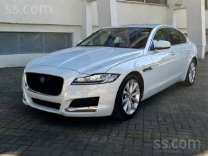 Jaguar XF 2017 Daugavpils, ar dzinēja tilpumu 2.00 L un nobraukumu 0 tūkst. km par 12490 €, foto 3 vietnē AUTOMOTO.COM.LV