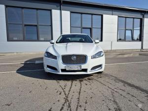 White Jaguar XF 2012 in Panevezys, with an engine capacity of 2.18 L and mileage of 186 thousand km for 5900 €, photo  on AUTOMOTO.COM.LV