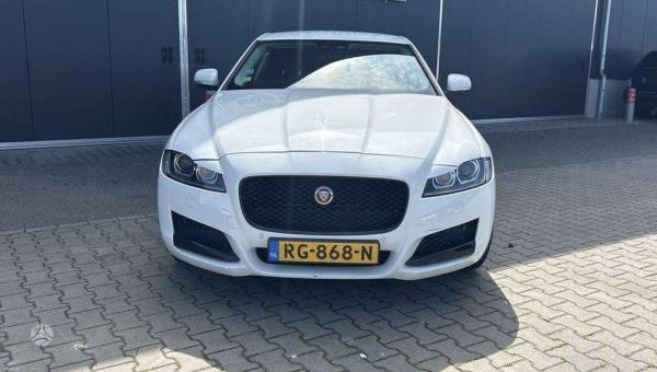 Balts Jaguar XF 2017 Prienai, ar dzinēja tilpumu 2.00 L un nobraukumu 210 tūkst. km par 6200 €, foto 5 vietnē AUTOMOTO.COM.LV