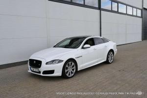 White Jaguar XJ 2015 in Kretinga, with an engine capacity of 3.00 L and mileage of 120 thousand km for 12699 €, photo 16 on AUTOMOTO.COM.LV