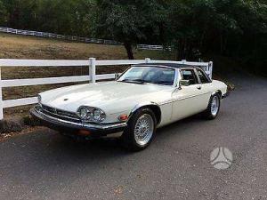 White Jaguar XJS 1988 in Vilnius, with an engine capacity of 0.00 L and mileage of 45 thousand km for 12500 €, photo 21 on AUTOMOTO.COM.LV