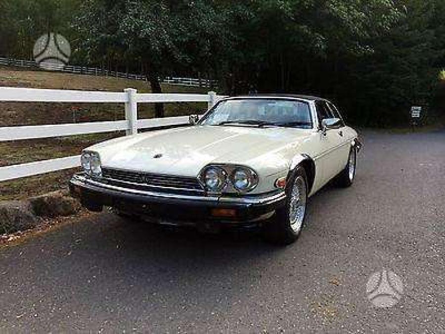 Balts Jaguar XJS 1988 Viļņa, ar dzinēja tilpumu 0.00 L un nobraukumu 45 tūkst. km par 12500 €, foto 9 vietnē AUTOMOTO.COM.LV
