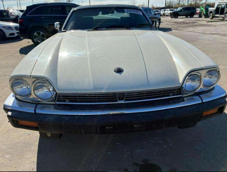 Balts Jaguar XJS 1988 Viļņa, ar dzinēja tilpumu 0.00 L un nobraukumu 45 tūkst. km par 12500 €, foto 5 vietnē AUTOMOTO.COM.LV