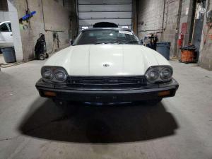 Balts Jaguar XJS 1988 Viļņa, ar dzinēja tilpumu 0.00 L un nobraukumu 45 tūkst. km par 12500 €, foto 7 vietnē AUTOMOTO.COM.LV