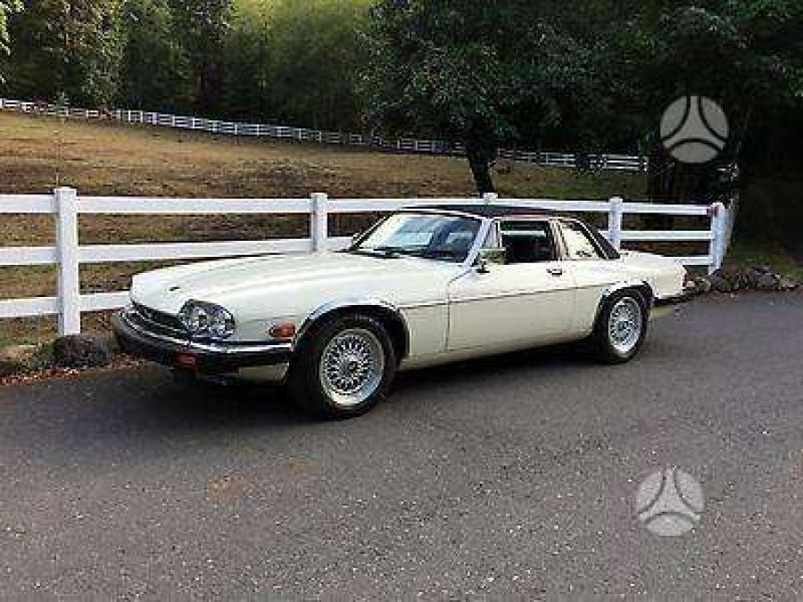 Balts Jaguar XJS 1988 Viļņa, ar dzinēja tilpumu 0.00 L un nobraukumu 45 tūkst. km par 12500 €, foto 11 vietnē AUTOMOTO.COM.LV