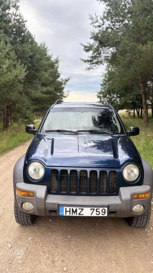 Zils Jeep Cherokee 2004 Viļņa, ar dzinēja tilpumu 2.50 L un nobraukumu 250 tūkst. km par 2450 €, foto 10 vietnē AUTOMOTO.COM.LV