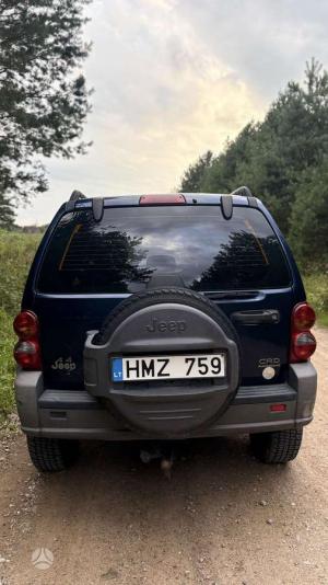 Zils Jeep Cherokee 2004 Viļņa, ar dzinēja tilpumu 2.50 L un nobraukumu 250 tūkst. km par 2450 €, foto 11 vietnē AUTOMOTO.COM.LV