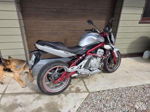 Grey Kawasaki ER 2006 in Pasvalys, with an engine capacity of 0.65 L and mileage of 60 thousand km for 1299 €, photo 16 on AUTOMOTO.COM.LV