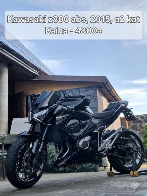 Kawasaki Z 2013 in Prienai, with an engine capacity of 0.80 L and mileage of 38 thousand km for 4800 €, photo 26 on AUTOMOTO.COM.LV