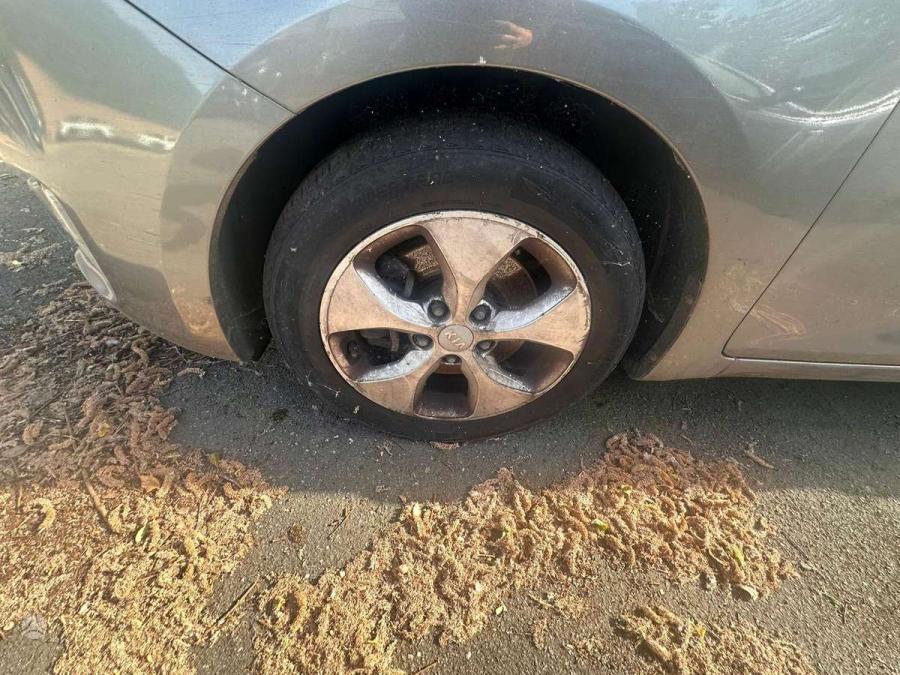 Grey Kia Carens 2016 in Sirvintos, with an engine capacity of 1.69 L and mileage of 111 thousand km for 3872 €, photo 11 on AUTOMOTO.COM.LV