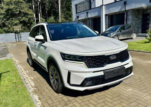 Balts Kia Sorento 2020 Viļņa, ar dzinēja tilpumu 2.15 L un nobraukumu 106 tūkst. km par 22900 €, foto 12 vietnē AUTOMOTO.COM.LV