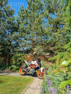KTM Duke 390 2019 in Jurmala, with an engine capacity of 0.37 L and mileage of 0 thousand km for 2700 €, photo 4 on AUTOMOTO.COM.LV