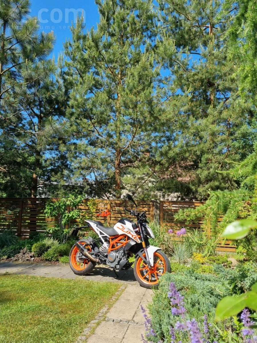KTM Duke 390 2019 in Jurmala, with an engine capacity of 0.37 L and mileage of 0 thousand km for 2700 €, photo 4 on AUTOMOTO.COM.LV