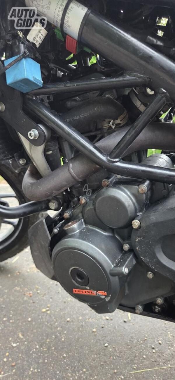Melns KTM Duke 2014 Zarasai, ar dzinēja tilpumu 0.00 L un nobraukumu 44 tūkst. km par 3500 €, foto 10 vietnē AUTOMOTO.COM.LV