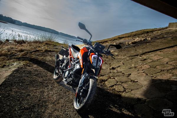 KTM Duke 2017 Zarasai, ar dzinēja tilpumu 0.13 L un nobraukumu 20 tūkst. km par 2200 €, foto 1 vietnē AUTOMOTO.COM.LV