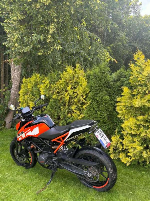 KTM Duke 2019 in Mazeikiai, with an engine capacity of 0.13 L and mileage of 31 thousand km for 2150 €, photo 5 on AUTOMOTO.COM.LV