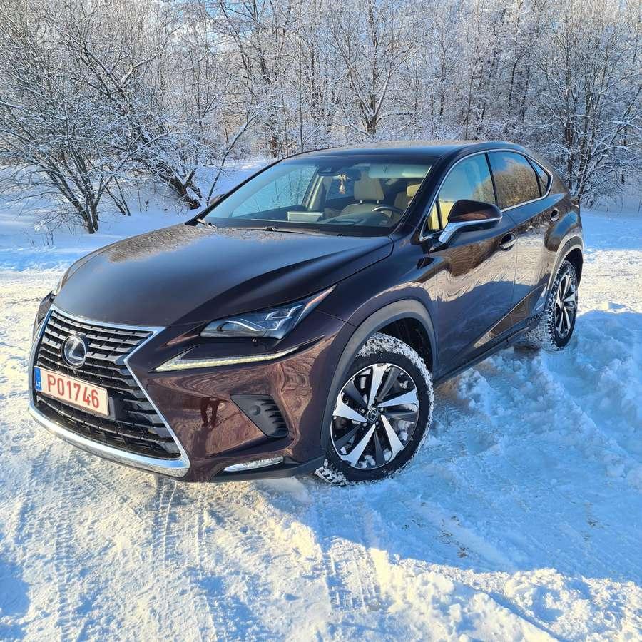 Brown Lexus NX 300h 2018 in Vilnius, with an engine capacity of 2.49 L and mileage of 155 thousand km for 26400 €, photo 3 on AUTOMOTO.COM.LV