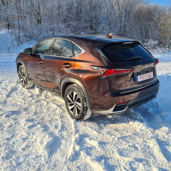 Brown Lexus NX 300h 2018 in Vilnius, with an engine capacity of 2.49 L and mileage of 155 thousand km for 26400 €, photo 6 on AUTOMOTO.COM.LV